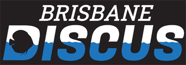 Brisbane Discus - Premium Discus & Aquarium Fish