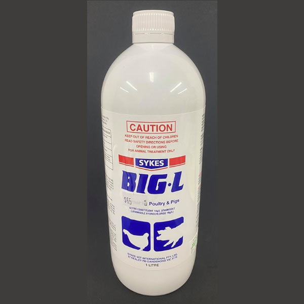 Brisbane Discus - Premium Discus & Aquarium Fish